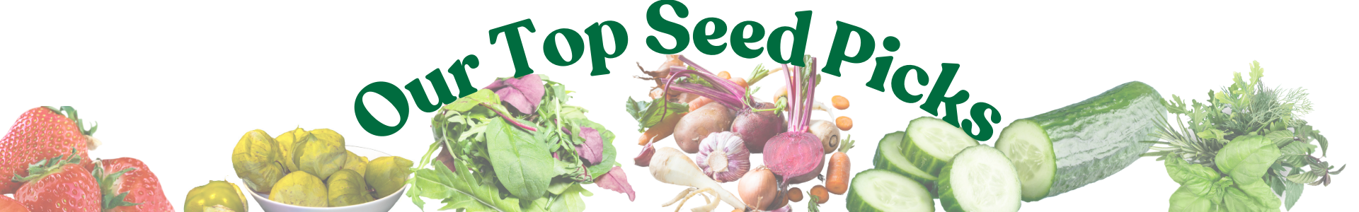 GGG Seed Shop – GardenGeekGrub.com
